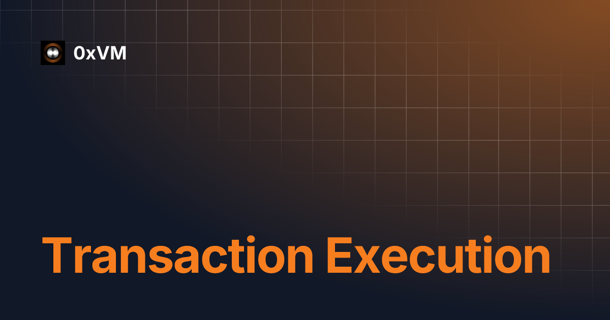 Transaction Execution | 0xVM