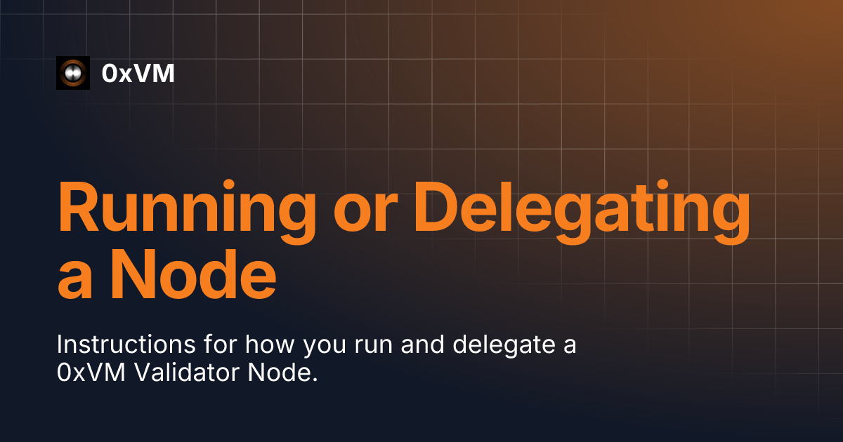 Running or Delegating a Node | 0xVM